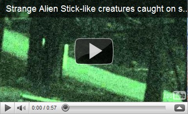 anakupto: Strange Alien Stick-like creatures caught on security camera